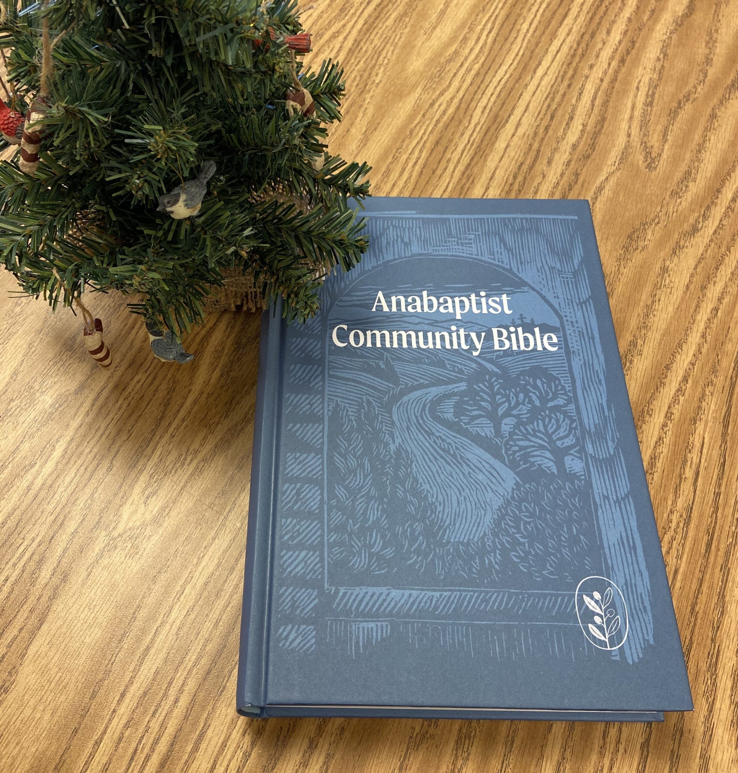 Anabaptism at 500: 2025 Has Arrived! - Western District Conference
